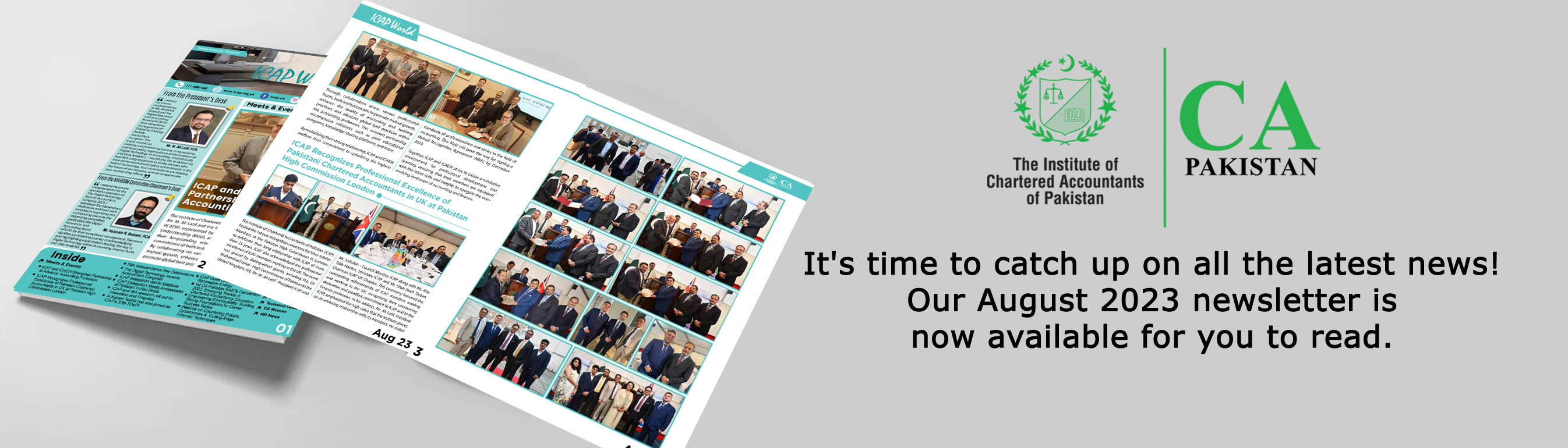 The Institute of Chartered Accountants of Pakistan